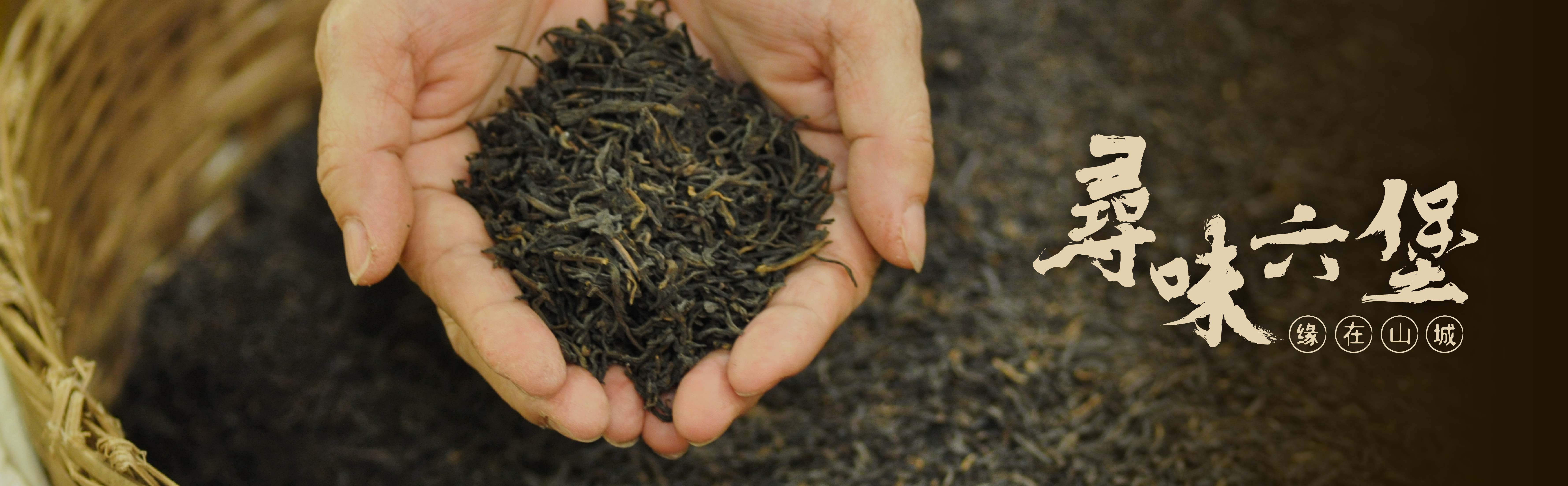 LIUBAO TEA – LEGEND OF TEA